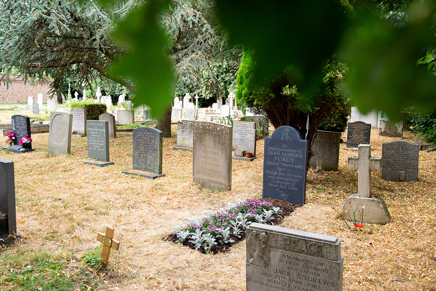 Jean Purdy IVF pioneer celebrated with memorial service