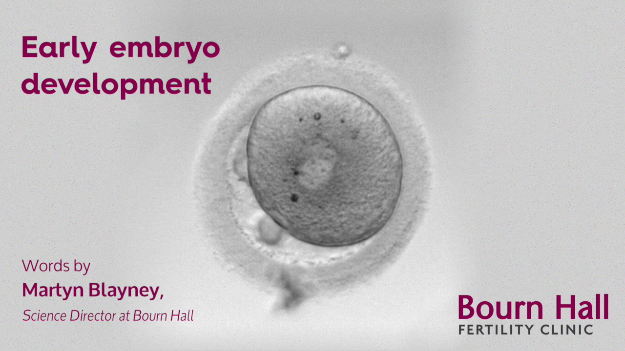 Early embryo development - Bourn Hall Fertility Clinic
